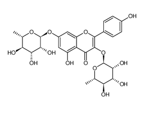 Kaempferitrin | 482-38-2 | IL Receptor | MOLNOVA